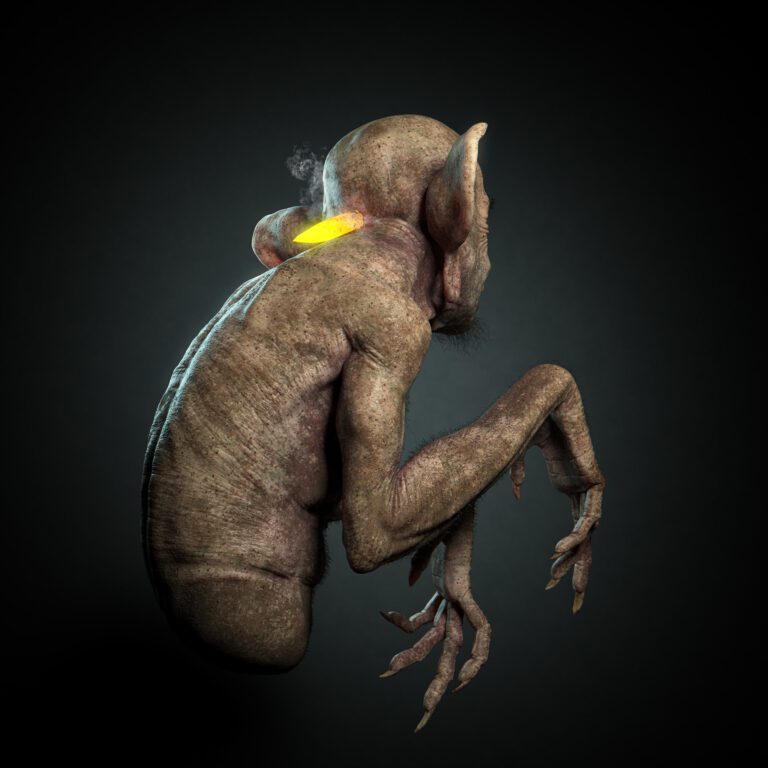 The Legend of the Tokoloshe